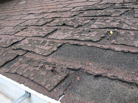 15 Signs of Roof Damage and How to Spot Them