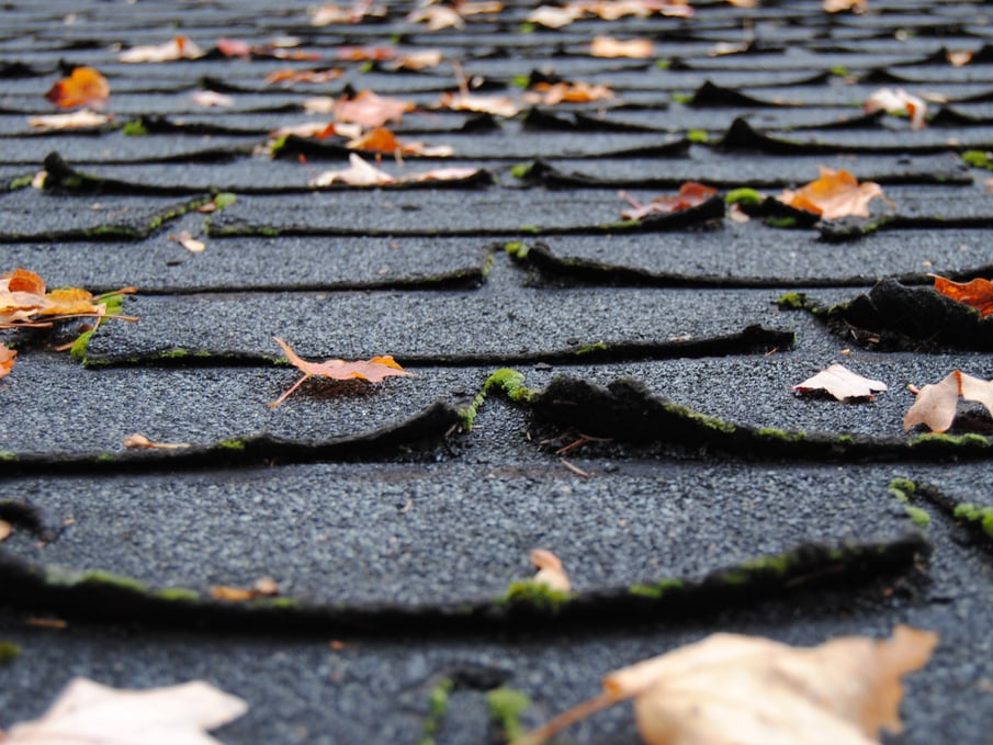 15 Signs of Roof Damage and How to Spot Them